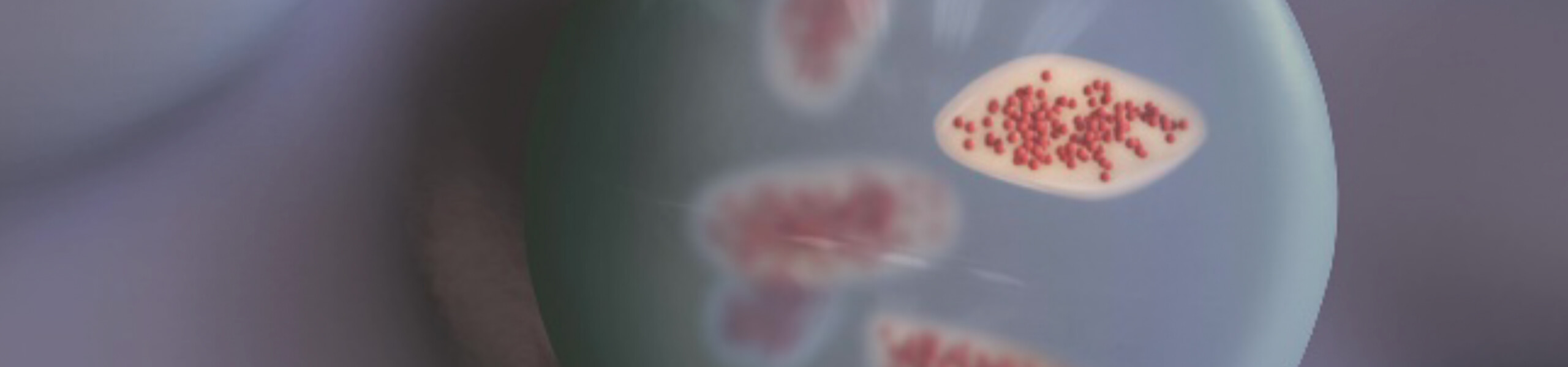 Mechanism of Action | Monoferric®